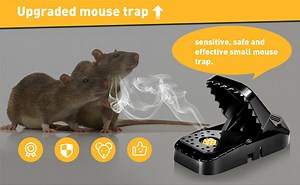 Watch best mouse traps for home on Amazon Live