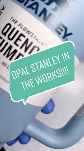 Stanley Cup Rhinestone Tumbler Bling Tutorial