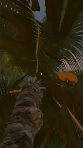 Stranded Deep - Climbing a Coconut Tree! 🌴🥥
