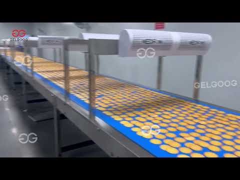 Crackers Production Machine with Salt, Sugar and Vegetables