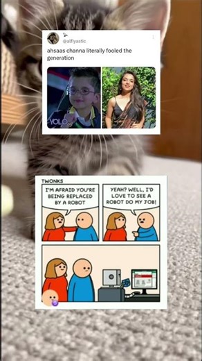 We all face this daily#catbombastic