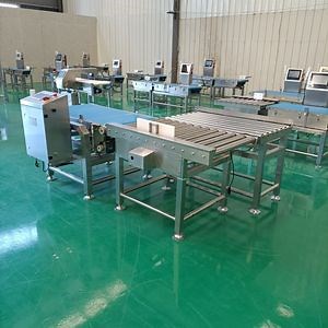 [Hot Item] Heavy Goods Checking of Check Weigher with Full-Automatic Weight System Online Checkweigher