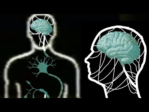 Кровеносные сосуды - ERASED FACES (ANALOG HORROR)