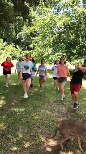 High-Energy Clogging Dance Performance