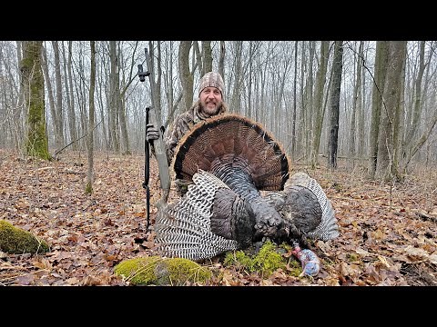 Wisconsin Spring Turkey Hunting (Taking Down A Public Land Tom)