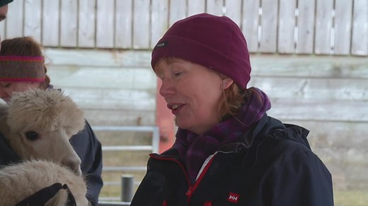 5.8K views · 35 reactions | This Sunday, Joe Crowley is in Aberystwyth to meet scientists behind some of the biggest new developments in farming and food security - plus much more  Sun 26 Mar 6:10pm - 7pm BBC1 | BBC Countryfile Magazine | Facebook