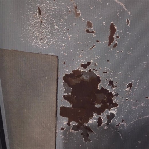 Drag path but its humans over time wearing things down with use #hivemind #humans #dragpath