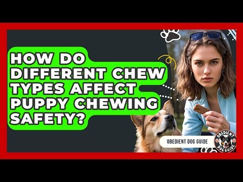 How Do Different Chew Types Affect Puppy Chewing Safety? - Obedient Dog Guide