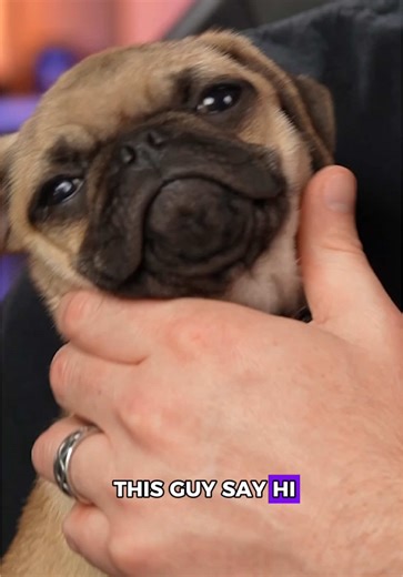 Introducing Bernard Hackwell: Your Next Favorite Character