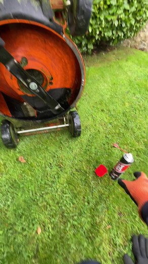 Effortless Garden Maintenance with GT85 Spray