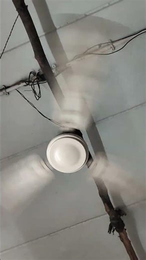 Ceiling fan funny🤣 #funny #comedy || MR BULA VLOGS ||