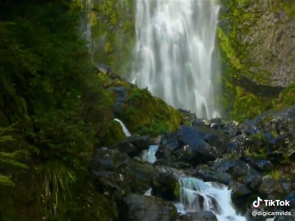 Exploring Nostalgia with Old Digital Cameras