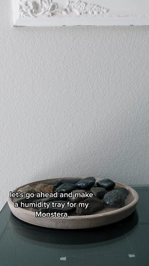 DIY Monstera Plant Humidity Tray Tutorial