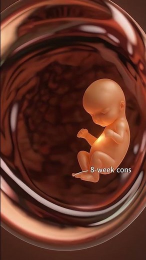 Inside the Womb: 8-Week Embryo in Motion #3danimation #anatomy #aihealth #medicalillustration