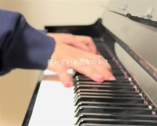 Same numbers/乃木坂46 #乃木坂46 #乃木坂 #samenumbers #ピアノ #piano