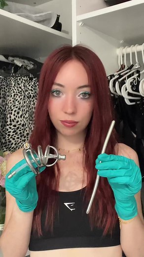 Understanding the Dynamics of Domination and Submission