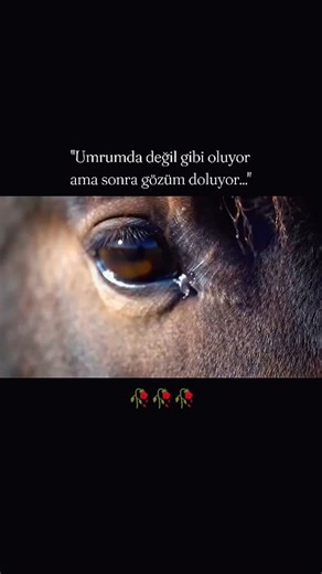 kırık kalem on Instagram: "🦅🤍"