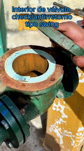 Válvula Check: Mecanismo y Funcionamiento Interior