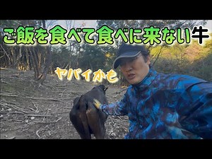 かっちゃんがご飯食べに来ない理由