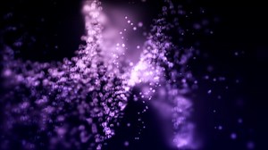 Lilac, Design, Graphic. Free Stock Video