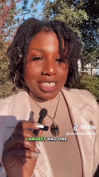 Come see me at Meeting of the Minds 😏 Virtual and in person conference ✨ It’s one week away ! Drop a 🔥 emoji if you want me to send you more info 🔥 🔥 🔥 Are you attending virtually or in person family? 🥰 #meetingofthemindssc #thingstodoincharleston #charlestonevents #oyotunji #oyotunjiafricanvillage #whatsgoingonincharleston #virtualnetworking