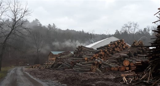 The Most Dangerous Job in America Claims the Life of a 29-Year-Old Kentucky Amish Man - Amish America