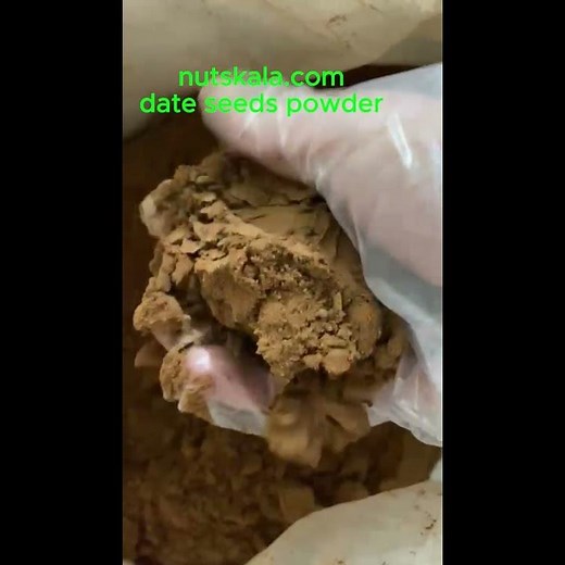 date pits powder