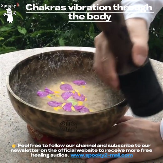👉 Get your FREE Healing Frequency Music Downloads here: https://www.spooky2-mall.com/healing-frequency-music-free-download/?fb=get 💧 The human body is about 70% water. Just like this sound bowl makes water dance, vibrations flow through our bodies — resonating with our chakras, emotions, and energy fields. 🌿✨ When you tune into healing frequencies, you’re not just listening… you’re harmonizing your whole inner world. 🎶💫 📧 Subscribe with your email to receive more free healing audios and we