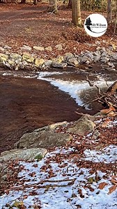 🌳Few ride side ash to start the morning nice and frosty ❄️ | D.Wilson Tree Surgery & Forestry