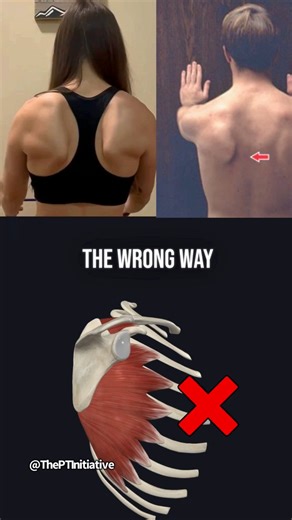 🎯The Big Mistake People Make when Training the Serratus Anterior…🔥 (Full Shoulder Rehab Mobility program on SALE here: www.theptinitiative.com/shoulderprogram ) . 💥You’ve probably heard of the Serratus Anterior and maybe have seen a few exercises for it, but there is a critical part that most people miss. ——- 🔑Getting this muscle activated in isolation is a good first step but it needs to be integrated into working with the other scapular stabilizers in order to build stability in a full ran