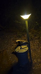 128K views · 1.4K reactions | Watch as the Infamous Tamboti Honey Badgers easily bypass the Baboon and often human proof bins. No matter how many times they get removed. They keep coming back. #honeybadger #wildlife #safari #nature #krugernationalpark | Kruger Gone Wild Safaris | Facebook