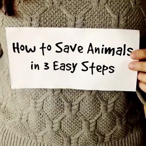 Save animals FROM YOUR PHONE! IT'S ONLY 3 STEPS (and it’s FREE): peta2.com/app | peta2