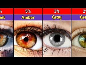 The Official Guide to The World's Population By Eye Color 🤗