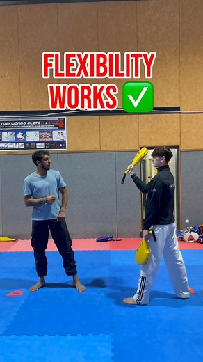 THE LAB 🆕🧪 Improve your flexibility with exercises ➡️ step 1 to step 8 ✅📈 #taekwondo #tkd #learning #tutorials #reelsvideo #reels #kyorugi #subscribe #flexibility | Dylan Chellamootoo