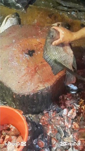 Tilapia Fish Cleaning & Cutting video 🔥 #fishcutting #Tilapia #shorts