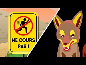 Que Faire Lorsque tu Vois un Coyote