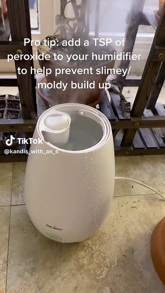 Hydrogen Peroxide for Healthy Plants: Expert Plant Tips