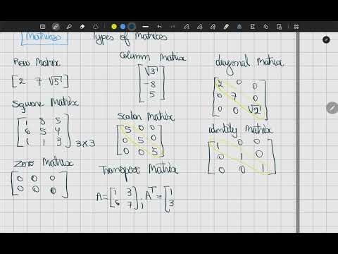 Types of Matrices Explained: Definitions and Examples