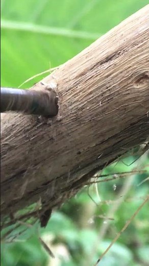 How to Drill Straight Holes in Wood Using a Hand Drill