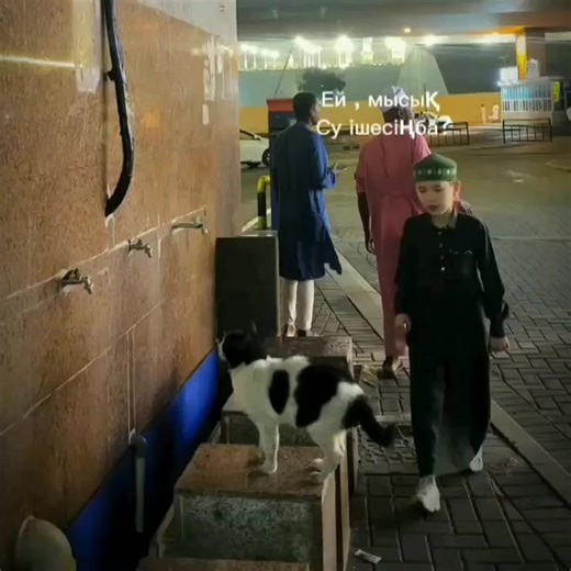 #creatorsearchinsights