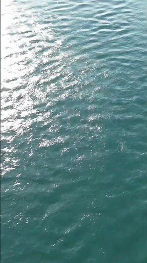 Bourne Bridge- Cape Cod Canal #bridge #drone #capecod #capecodcanal