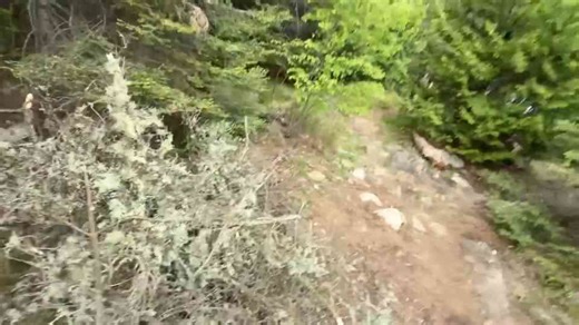 A slow morning turns into a perfect Boundary Waters walleye feast