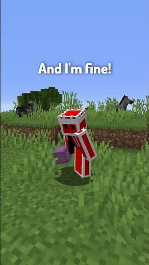 Best Things in Minecraft