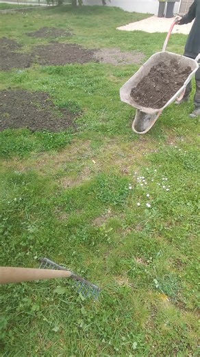 Vidéos de Thibault-amaury Monfort (@thibault.adam77) avec original sound - Lasha Bakradze