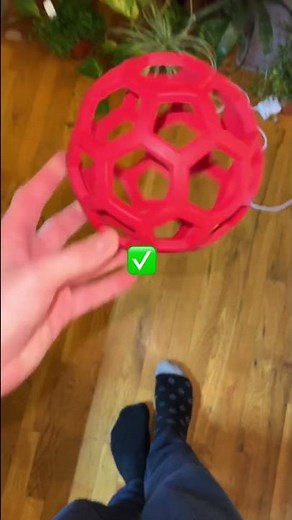 How to train your snake using a target