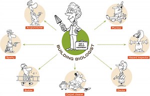 What is Building Biology - Building Biology