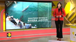 2.1K views · 34 reactions | A polar vortex that has hit much of the US with ice and snow has dealt a glancing blow to Florida. It is dropping coastal temperatures and causing the Sunshine State's manatee population to seek warmer waters. @JyotsnaKumar13 tells you more. #US #Florida | WION | Facebook