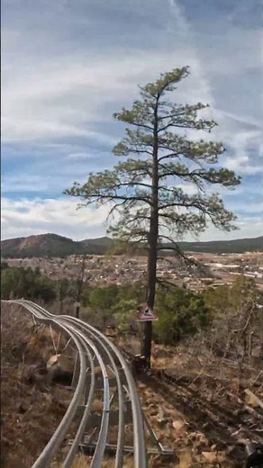 Canyon Coaster | Canyon Coaster Adventure Park