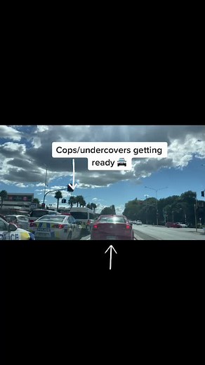 Behind the Scenes of Otara Arrests - Part 2