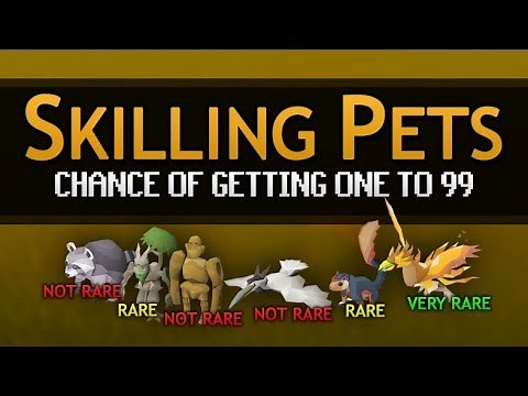 Skilling Pets (chance of getting one to lvl 99)